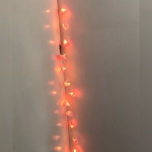Holiday | New Trendy Hot Pink Roses String Lights | Poshmark